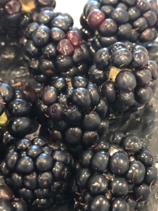 Small Summer Fruits: Fruit Crumble – History in the Kitchen