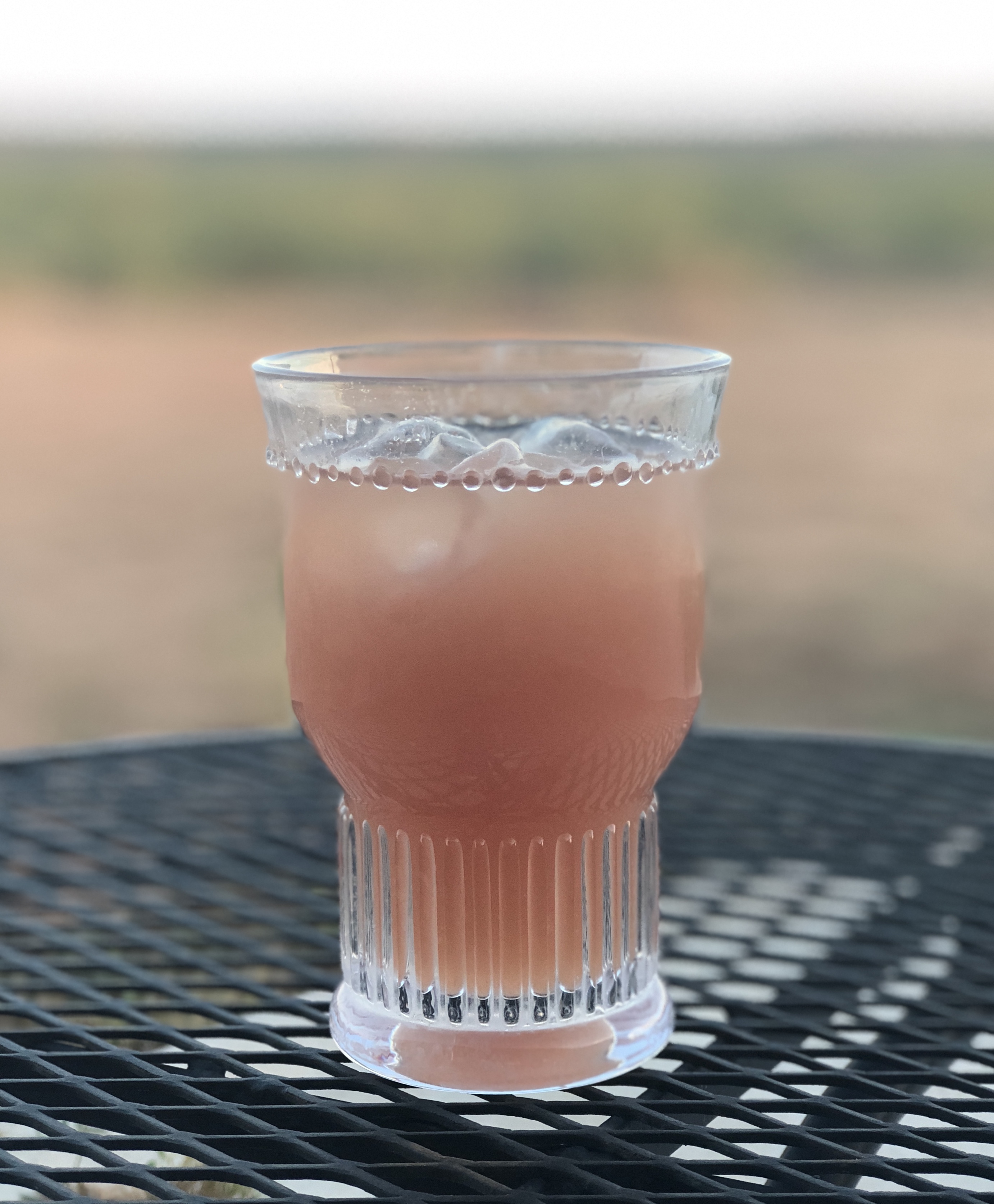 Summer Drinks: Cranberry Pineapple Ale – History in the Kitchen